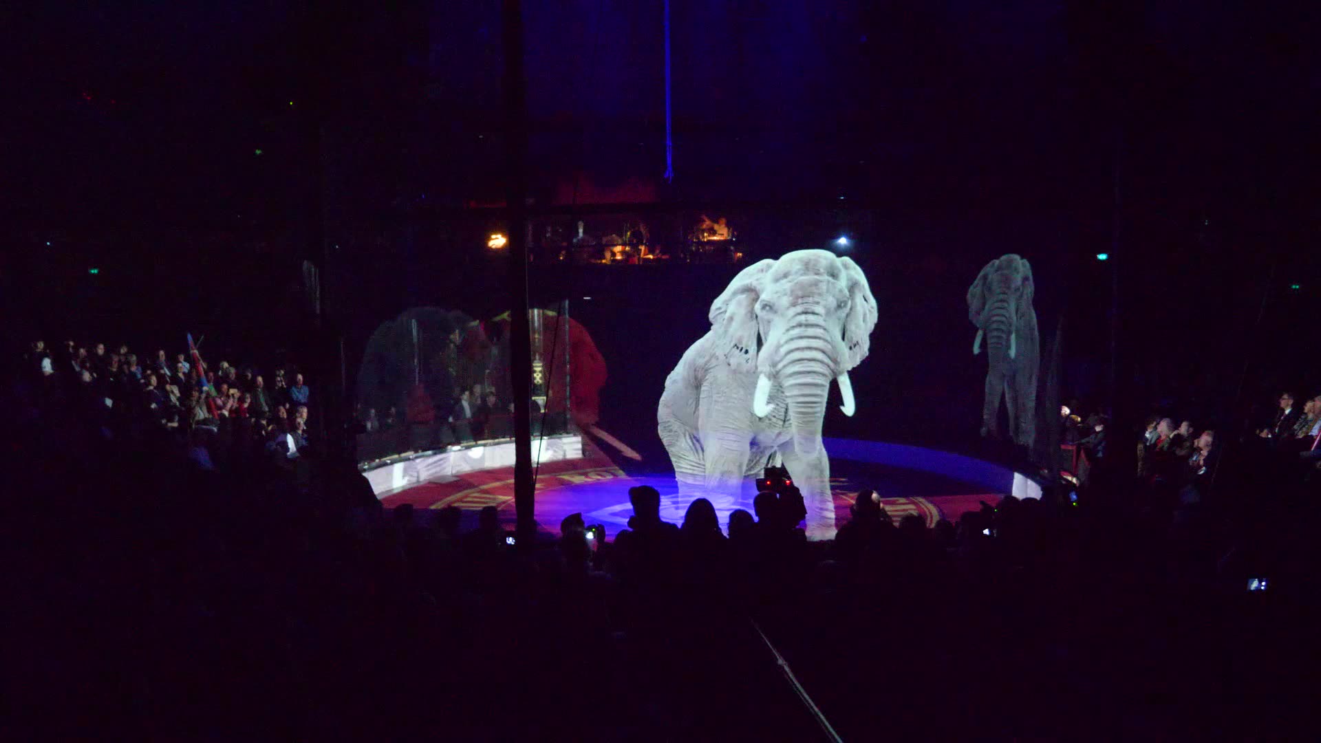 Holographic Mesh Screen Holo Net Screen 3.6x50 meter - Buy Gauze ...